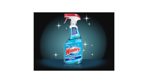 Various Windex Products