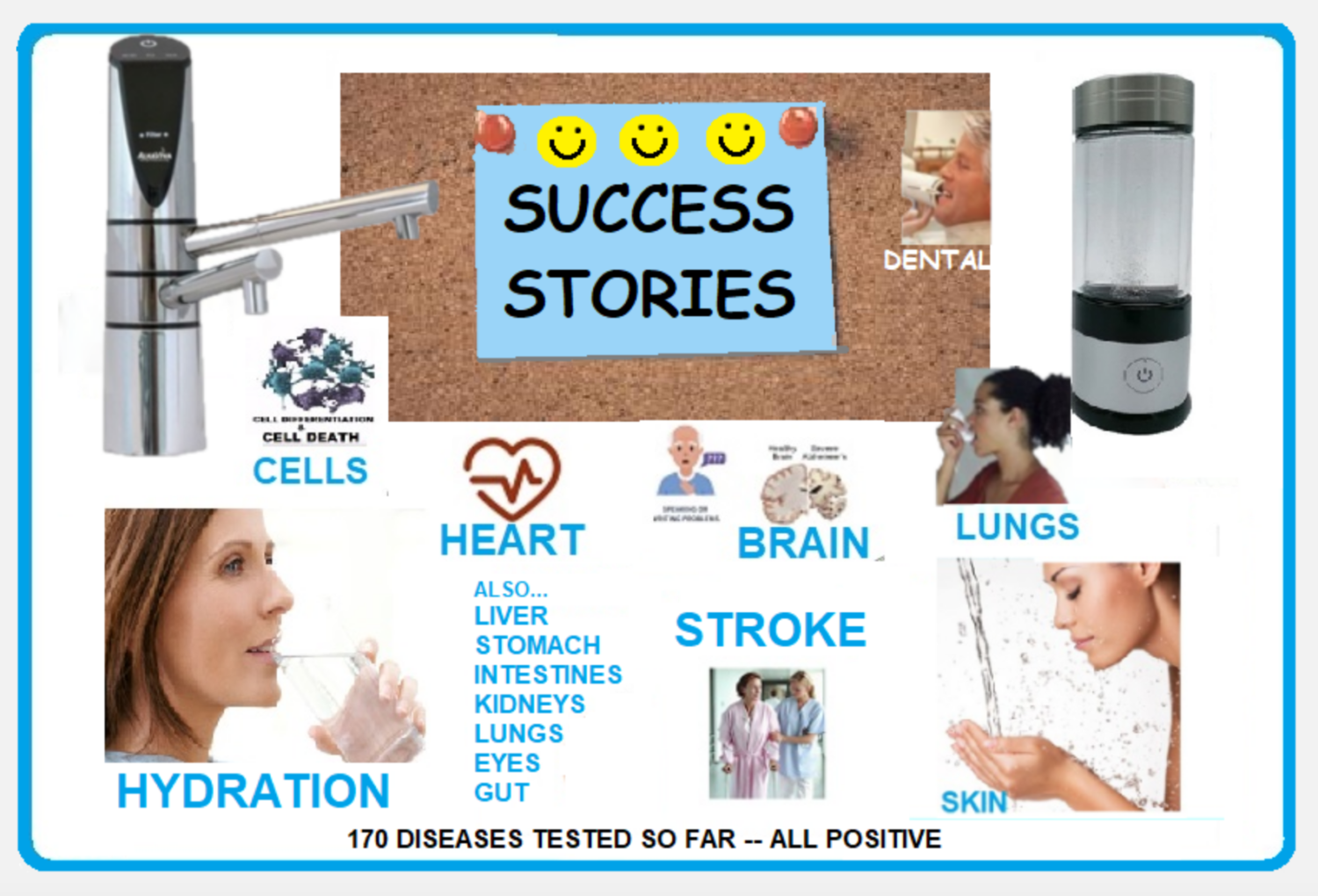 Bloom Nutrition Greens & Superfoods Powder