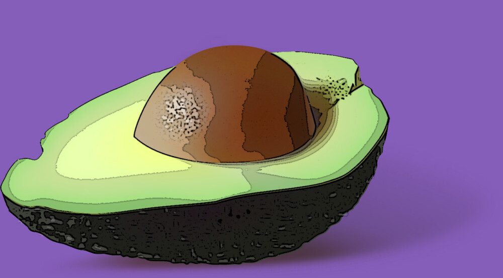 Several Brands of Shredded Cheese