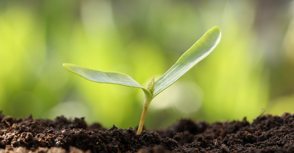 Crest 'Recycle Ready' Toothpaste Tubes